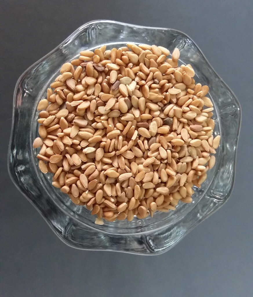 Seed Sample – Hasan Corporation | An Agro Based Export Oriented Company